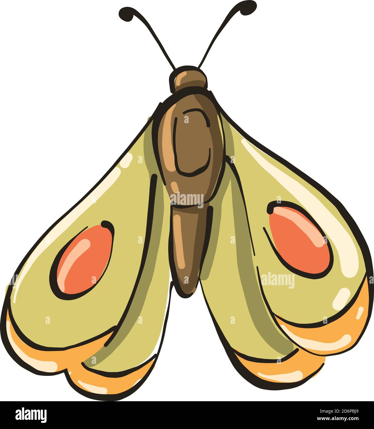 Green moth, illustration, vector on white background Stock Vector Image ...