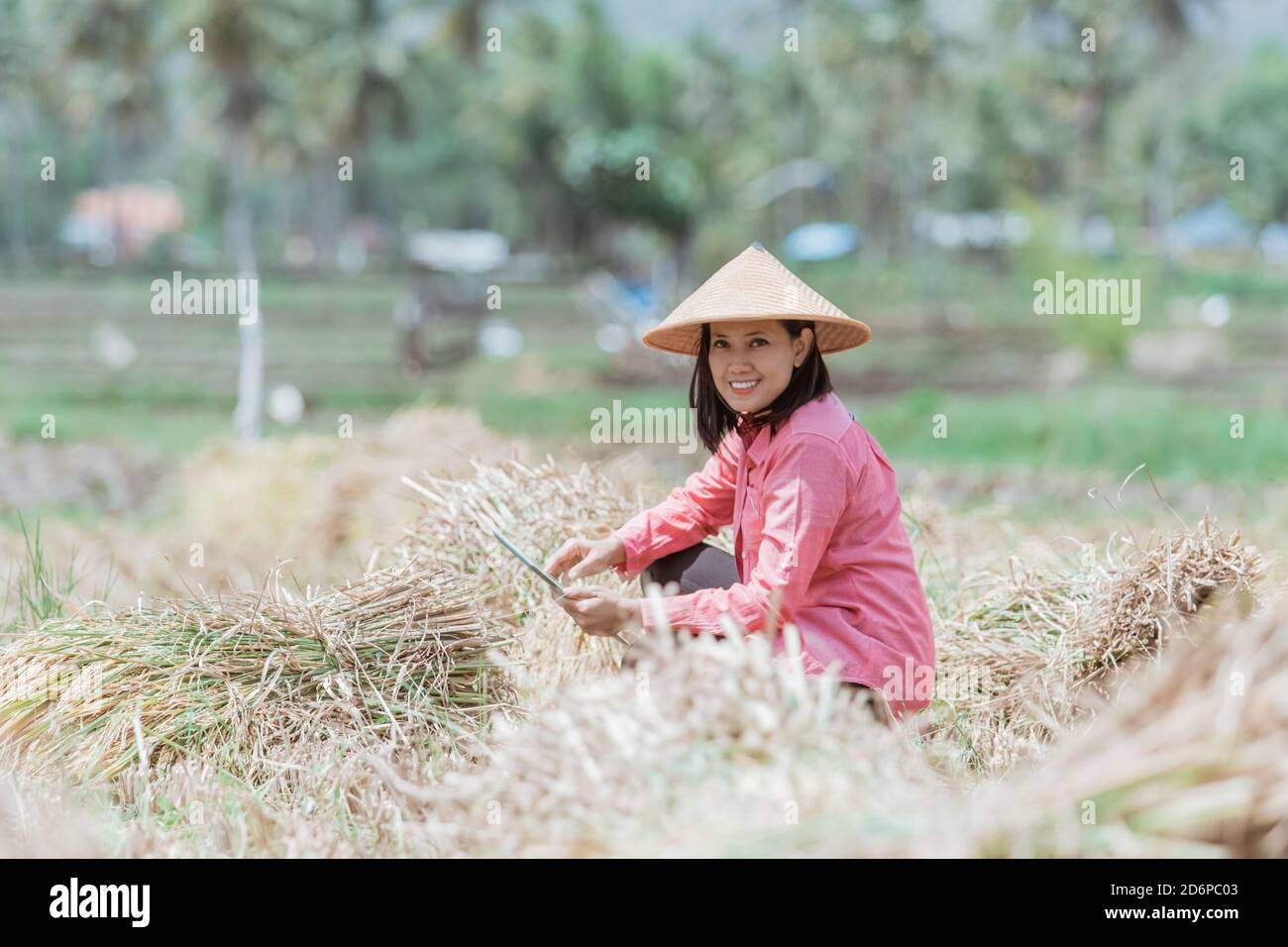 Portrait farmer squatting in field hi-res stock photography and images ...