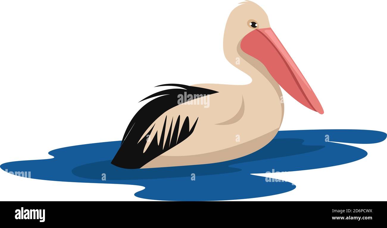 Sad pelican, illustration, vector on white background Stock Vector ...