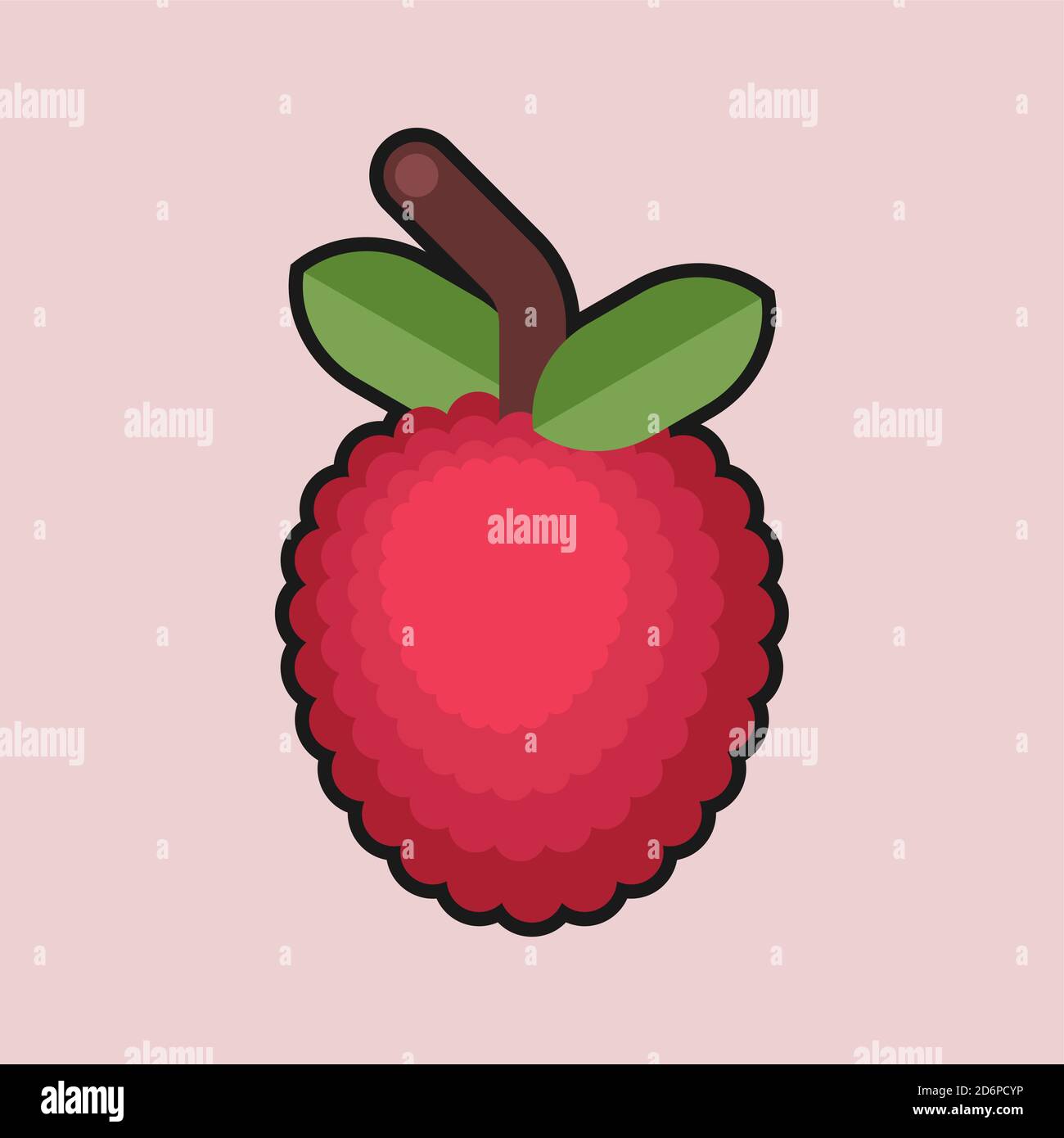 Lychee isolated. small round sweet fruit. vector illustration Stock ...
