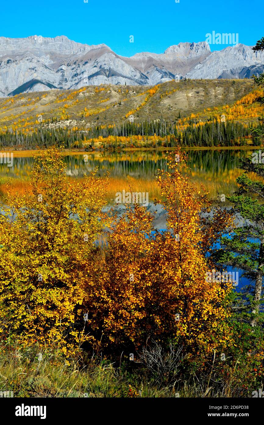 Miette mountain range hi-res stock photography and images - Alamy