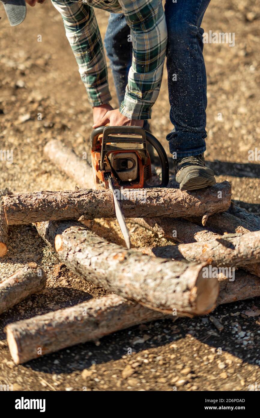 Vertical shot of a young Caucasian man cutting a tree trunk with a ...