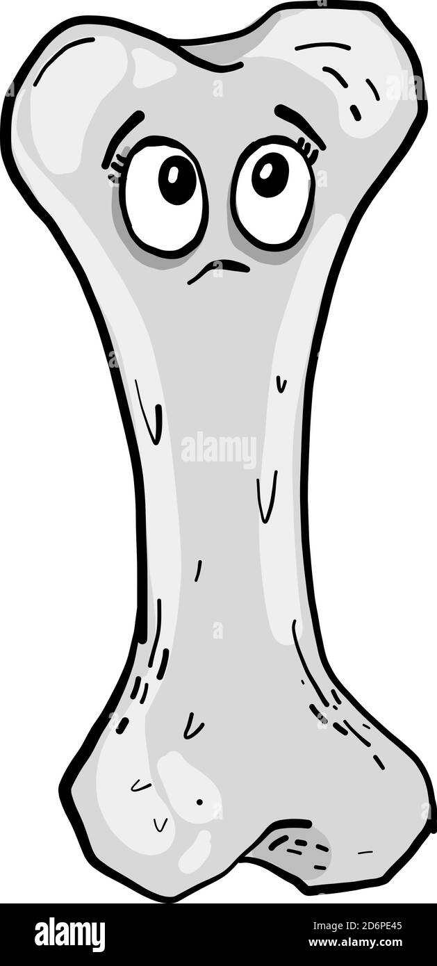 Very sad white bone, illustration, vector on white background Stock ...