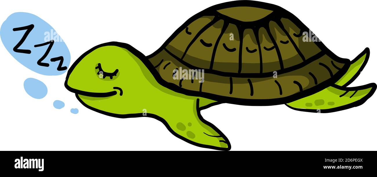 Sleeping turtle, illustration, vector on white background Stock Vector ...