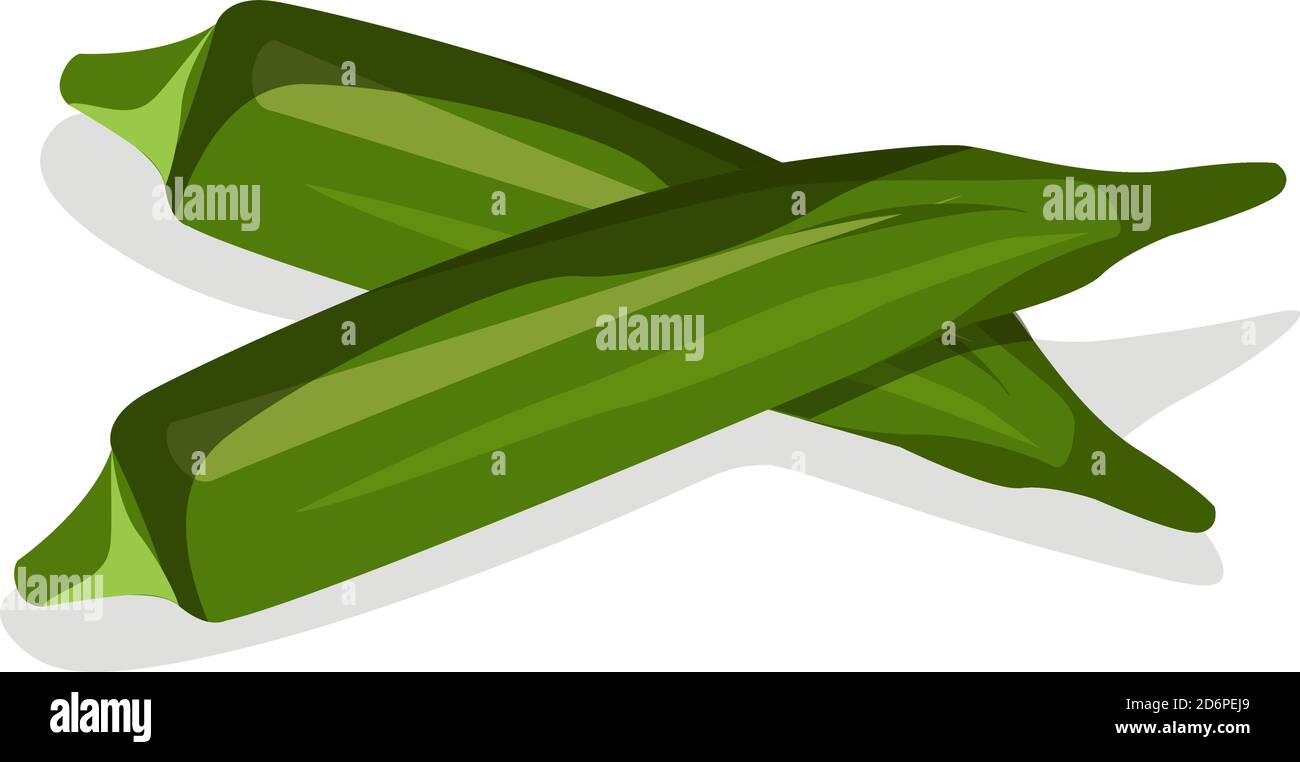 Lady fingers, illustration, vector on white background Stock Vector ...