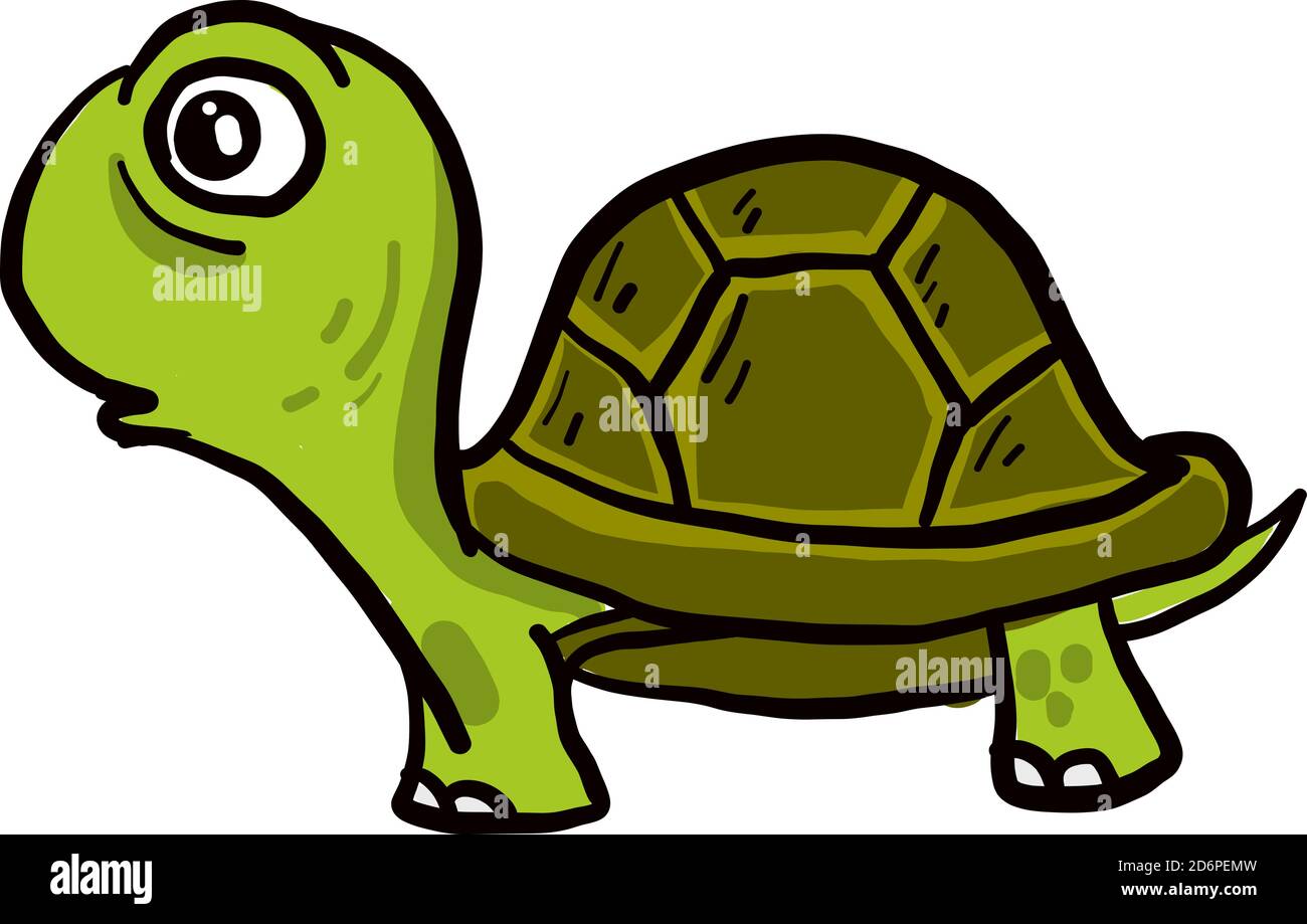 Old turtle Stock Vector Images - Alamy