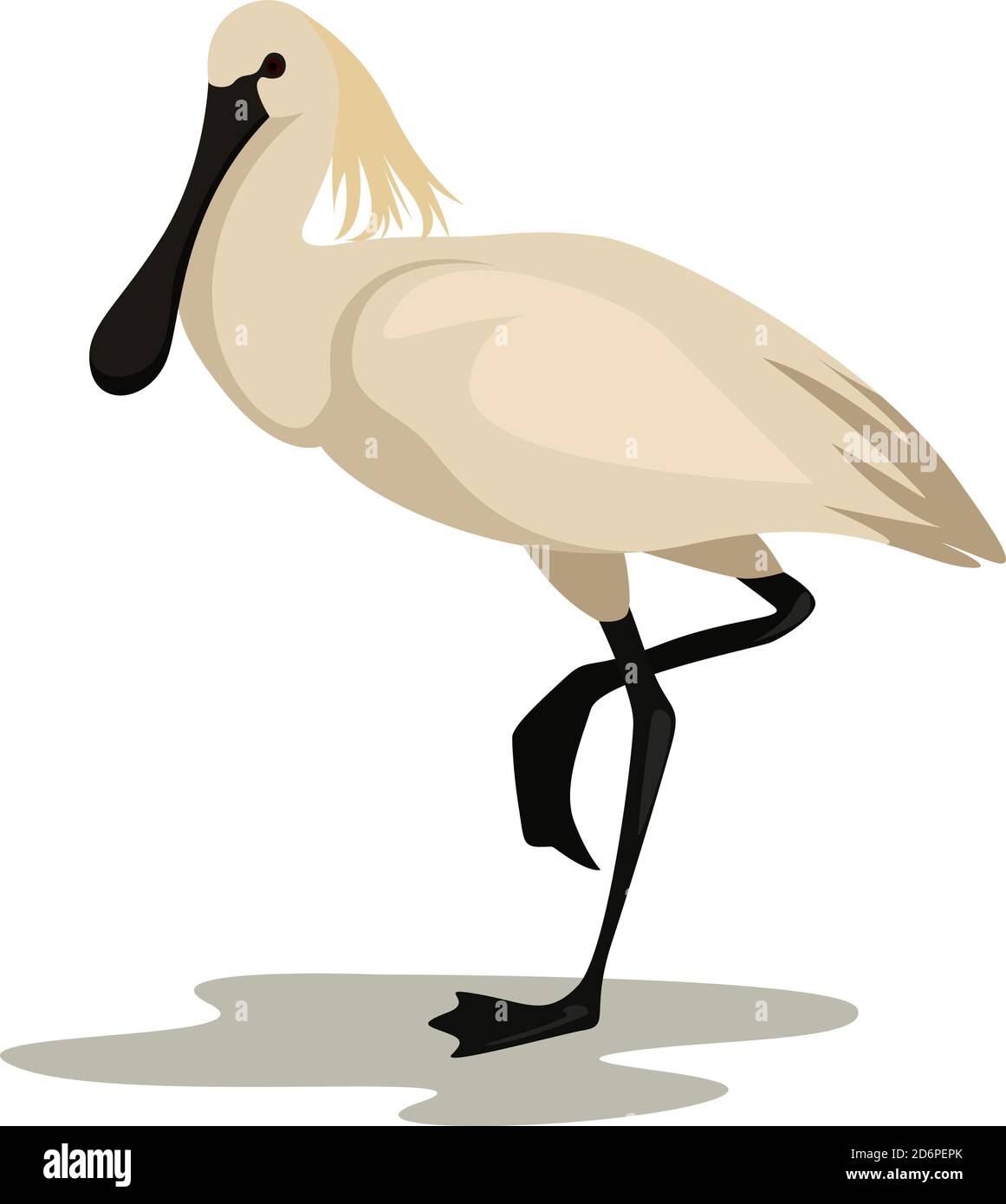 White spoonbill, illustration, vector on white background Stock Vector ...