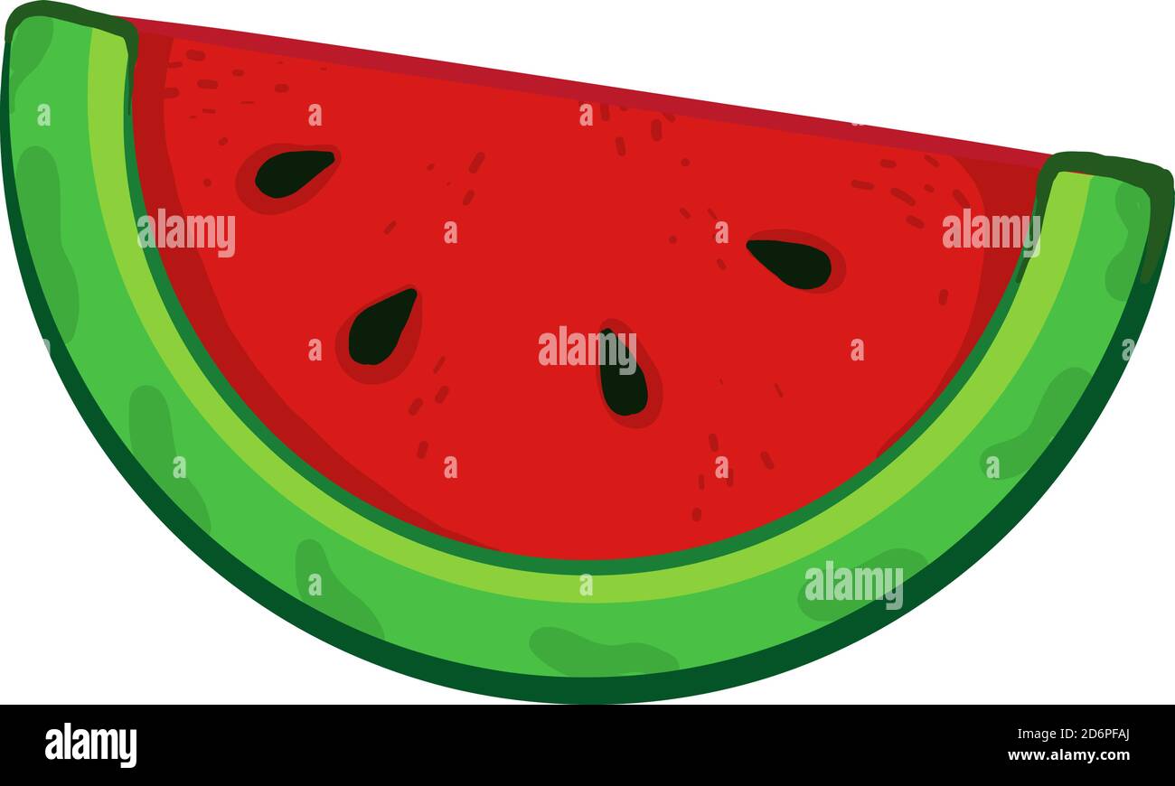 Small watermelon slice, illustration, vector on white background Stock ...
