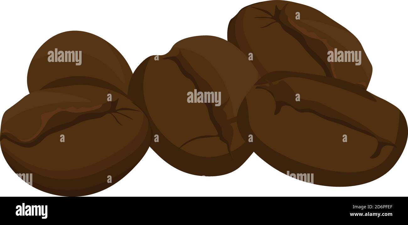 Coffee beans, illustration, vector on white background Stock Vector ...