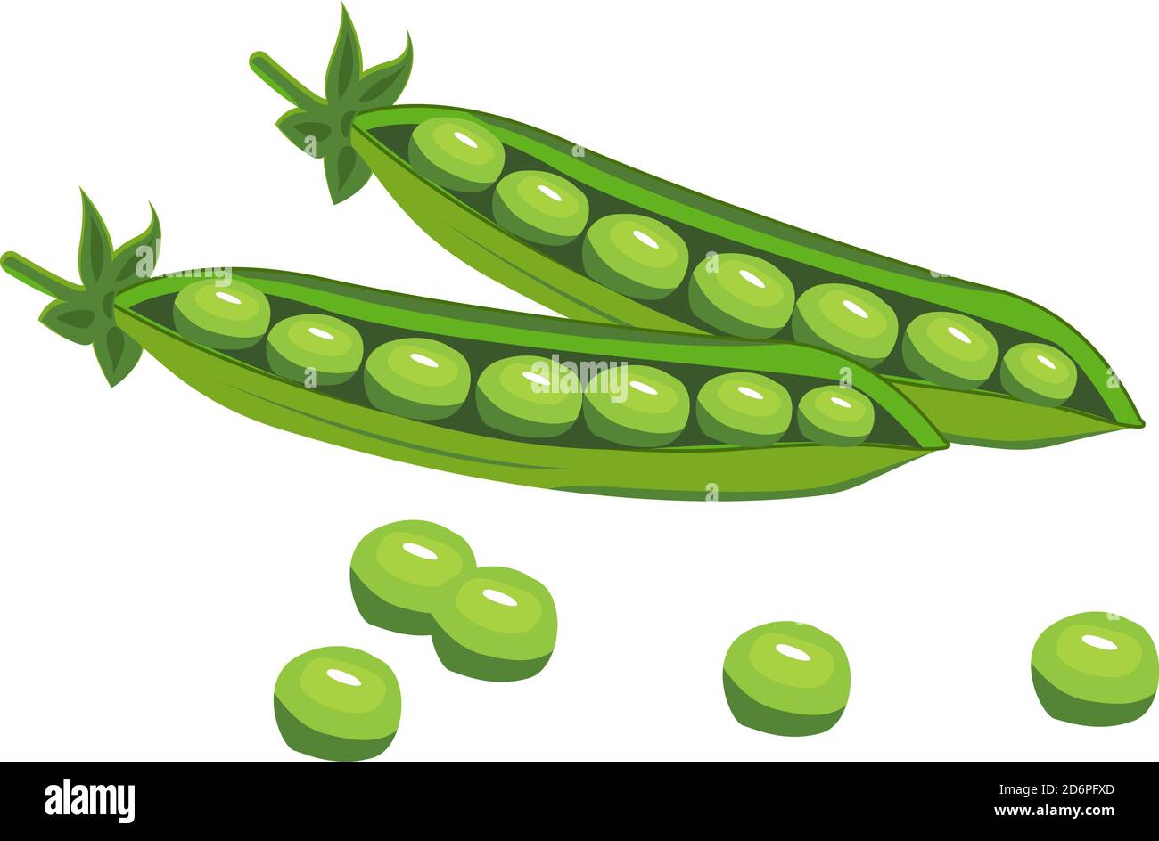 Green peas, illustration, vector on white background Stock Vector Image ...