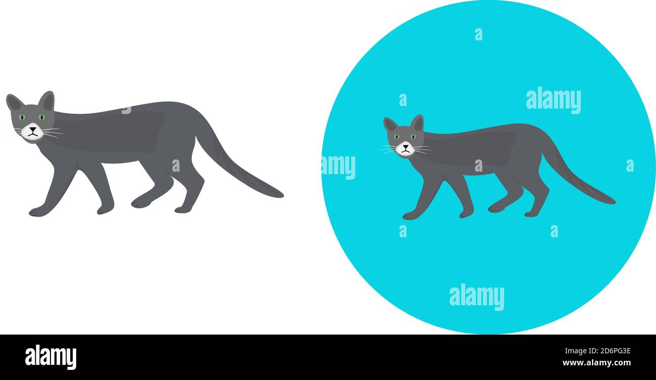 Grey cat ,illustration, vector on white background Stock Vector Image ...