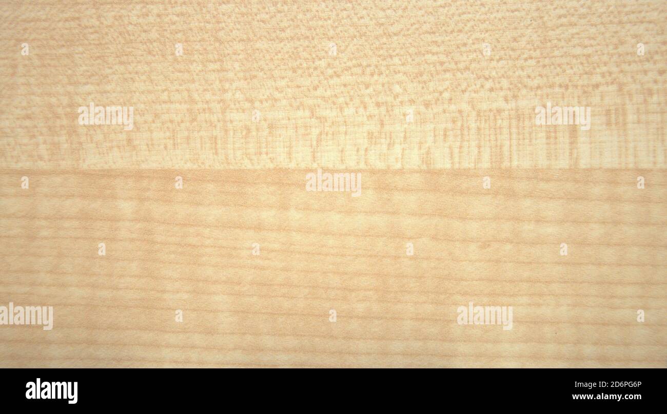 A saturated pattern with stripes of natural light wood on a cut close ...