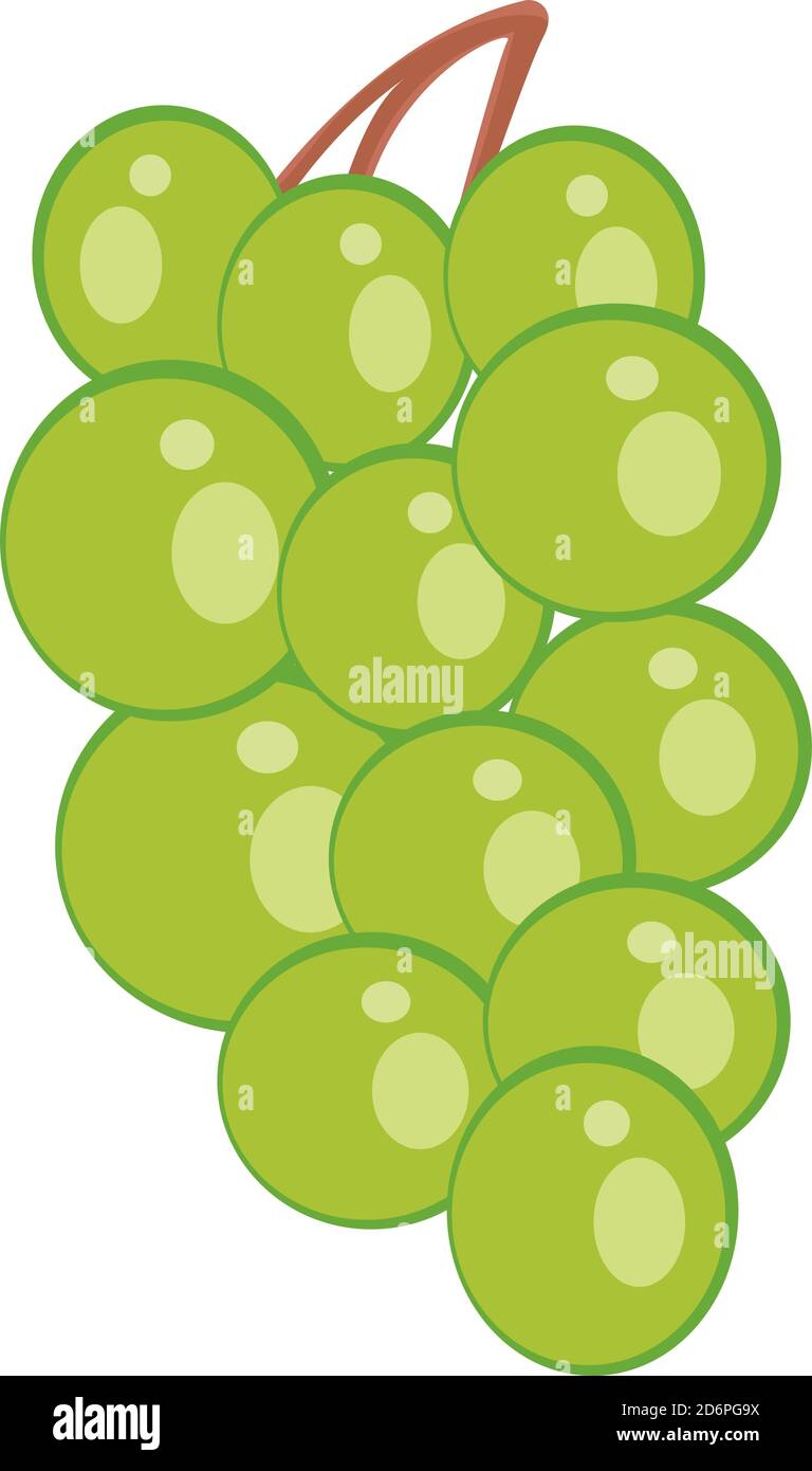 Tasty healthy grape on Stock Vector Images - Alamy