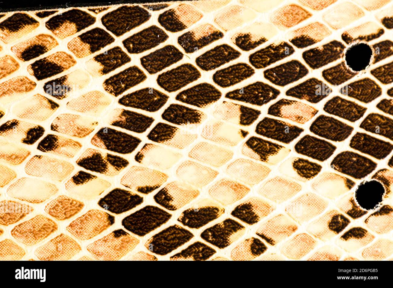 Snake skin pattern background Stock Photo - Alamy