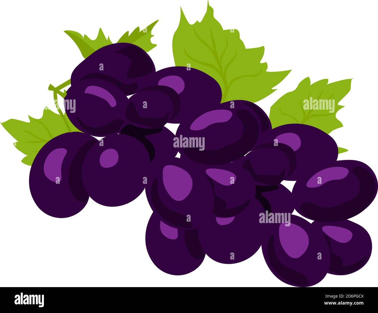 Purple grapes, illustration, vector on white background Stock Vector ...