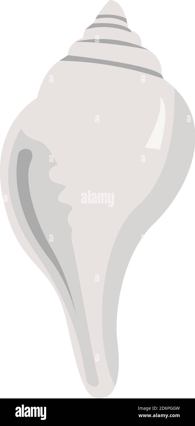 Pretty white shell, illustration, vector on white background Stock ...