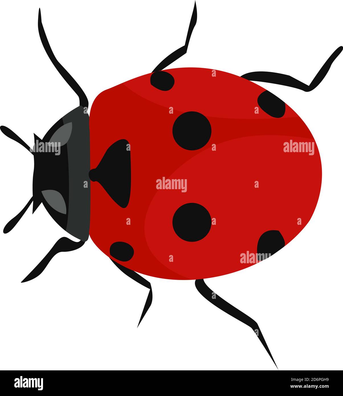 Cute ladybug, illustration, vector on white background Stock Vector ...