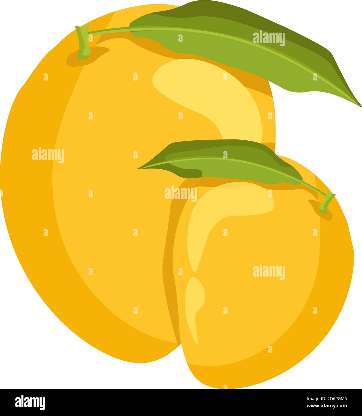 Yellow mango, illustration, vector on white background Stock Vector ...