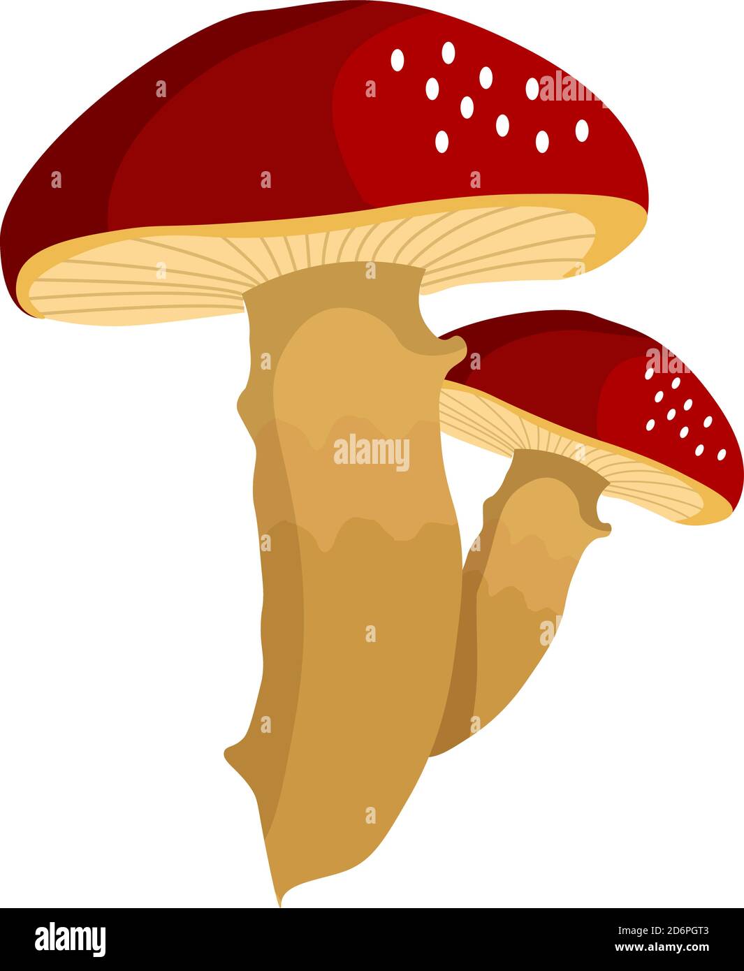 Red Mushrooms, illustration, vector on white background Stock Vector ...