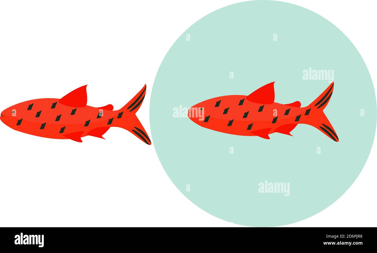 Red fish,illustration, vector on white background Stock Vector Image ...