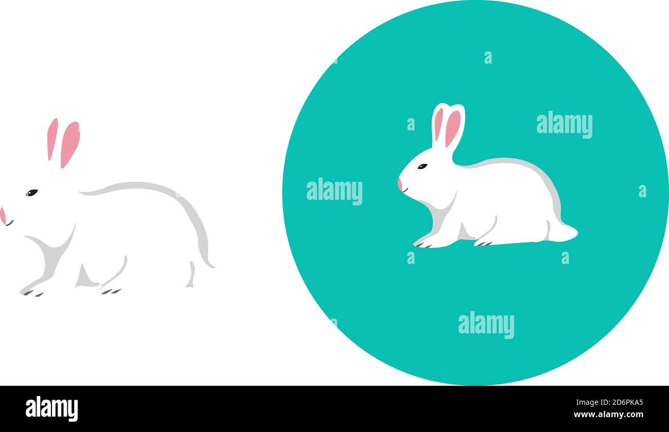 White rabbit ,illustration, vector on white background Stock Vector ...