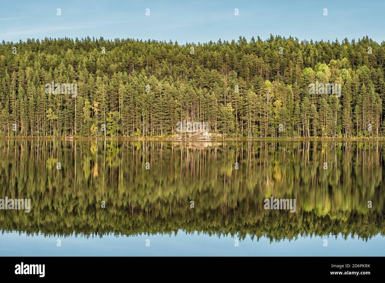 Symmetrical reflection of tree hi-res stock photography and images - Alamy