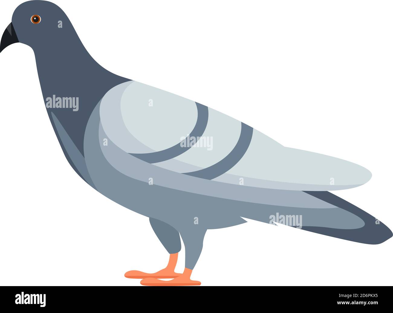Blue pigeon ,illustration, vector on white background Stock Vector ...