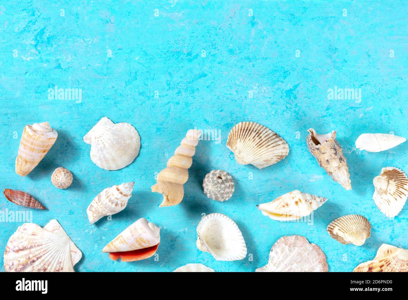Ocean banner design template with a place for text, various sea shells ...