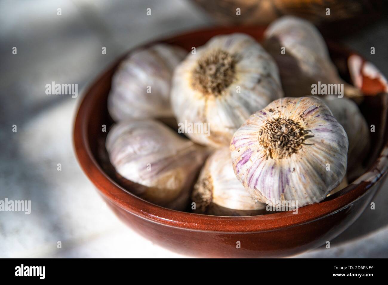 Softneck hi-res stock photography and images - Alamy