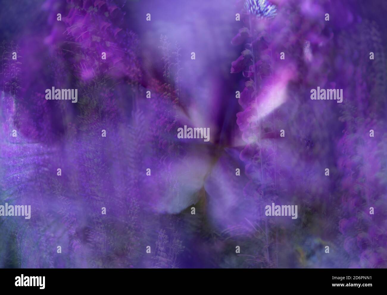 Double exposure background hi-res stock photography and images - Alamy