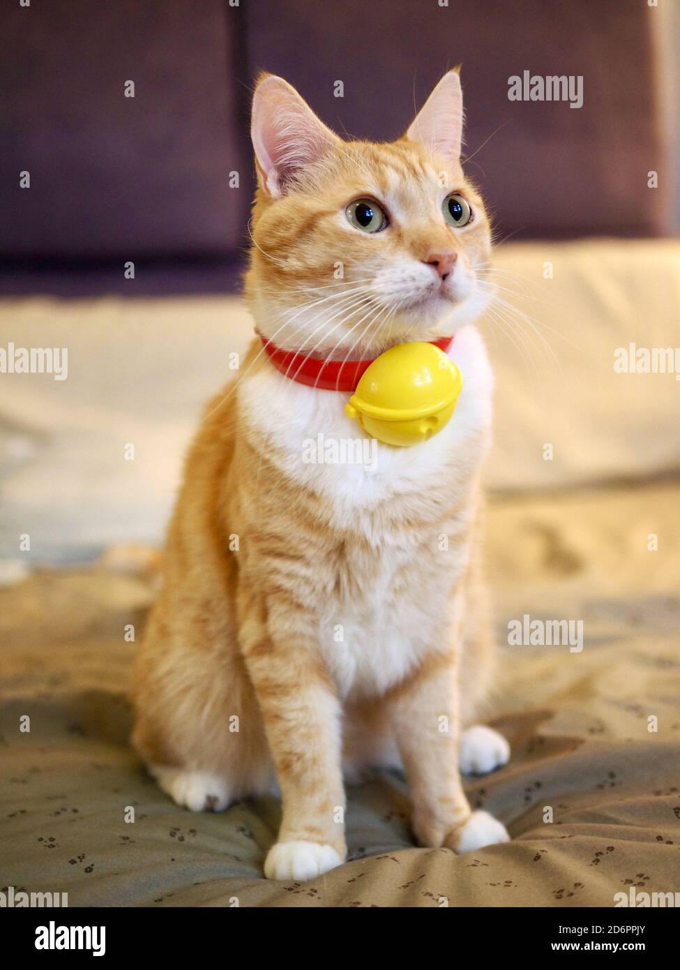 Doraemon hi-res stock photography and images - Alamy