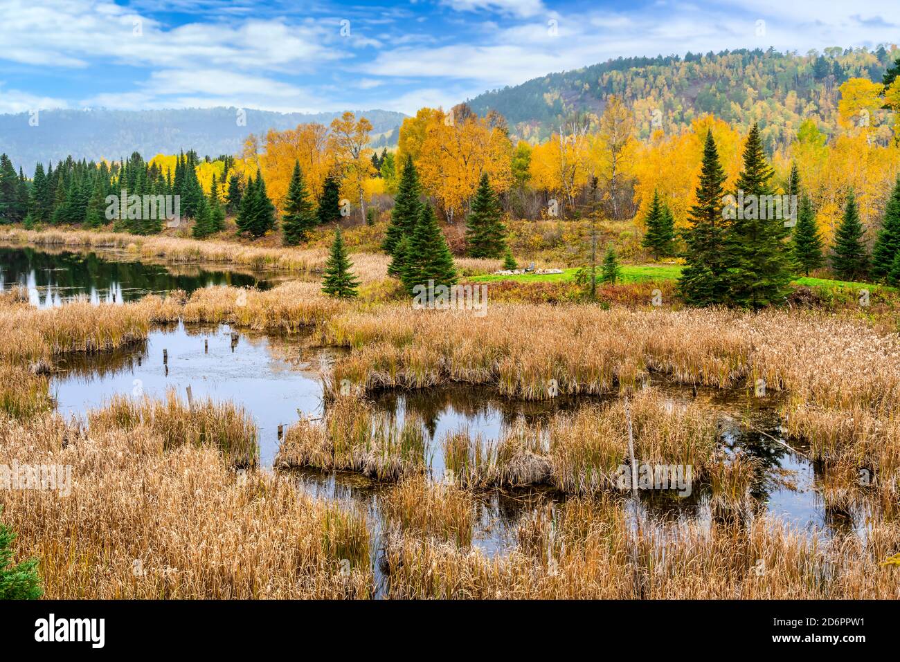 Wetlands with fall foliage color along highway 61 south of Thunder Bay ...