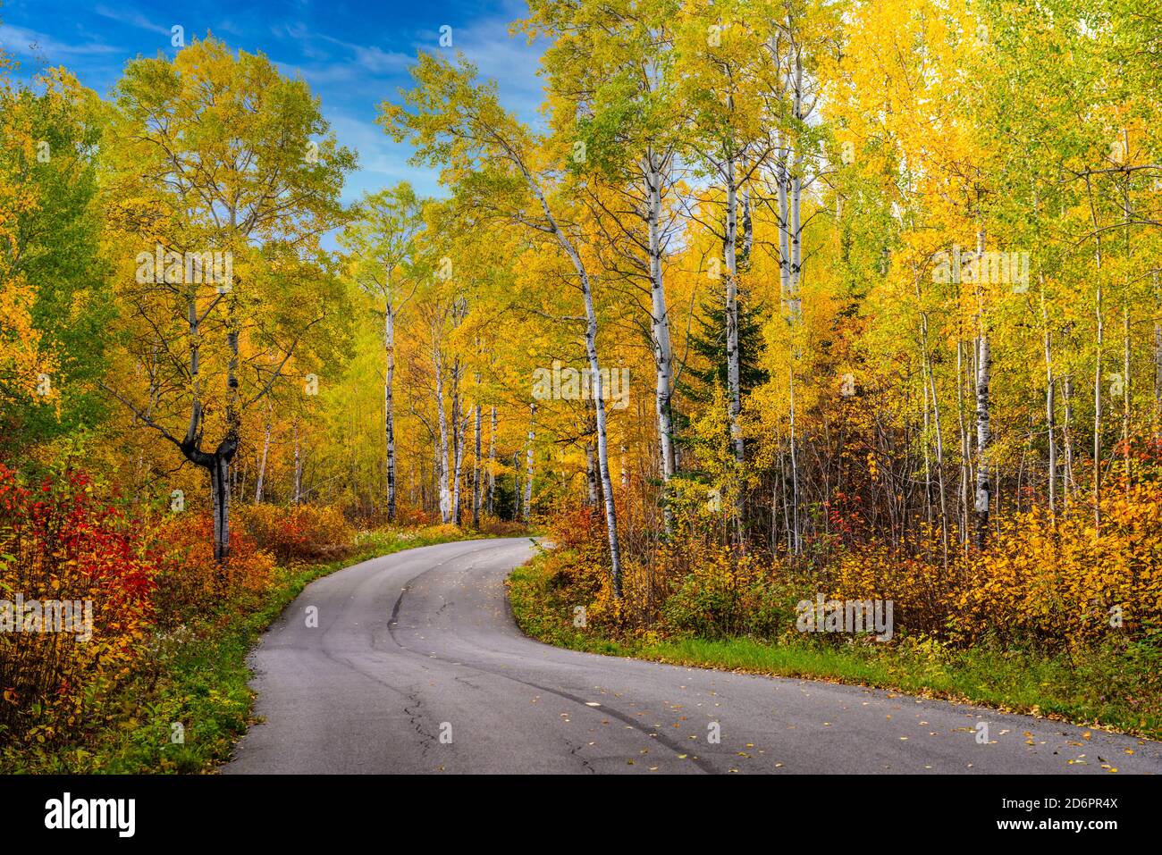Fall foliage color on the mountain road of Mount McKay, Thunder Bay ...