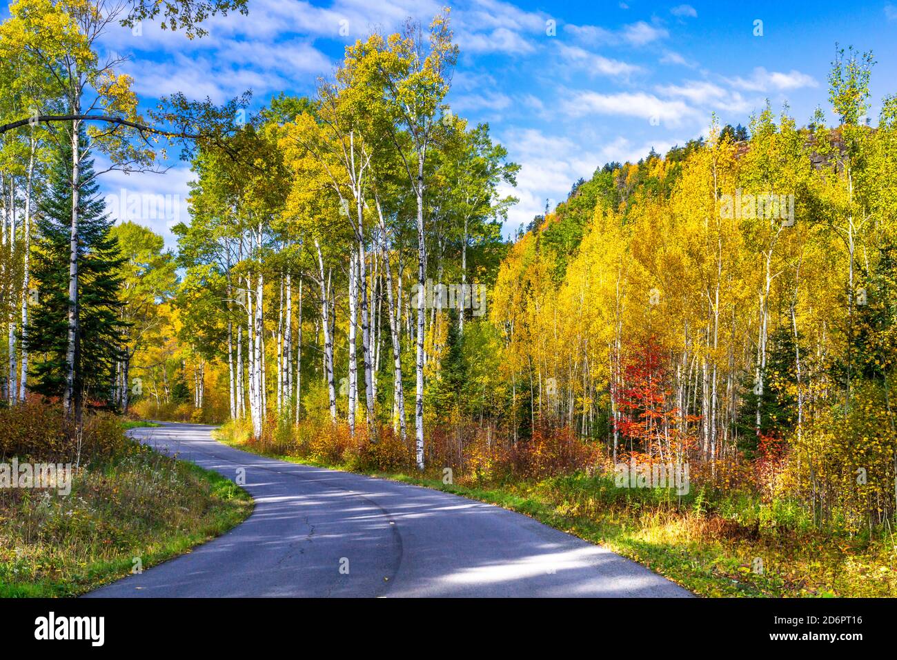 Fall foliage color on the mountain road of Mount McKay, Thunder Bay ...