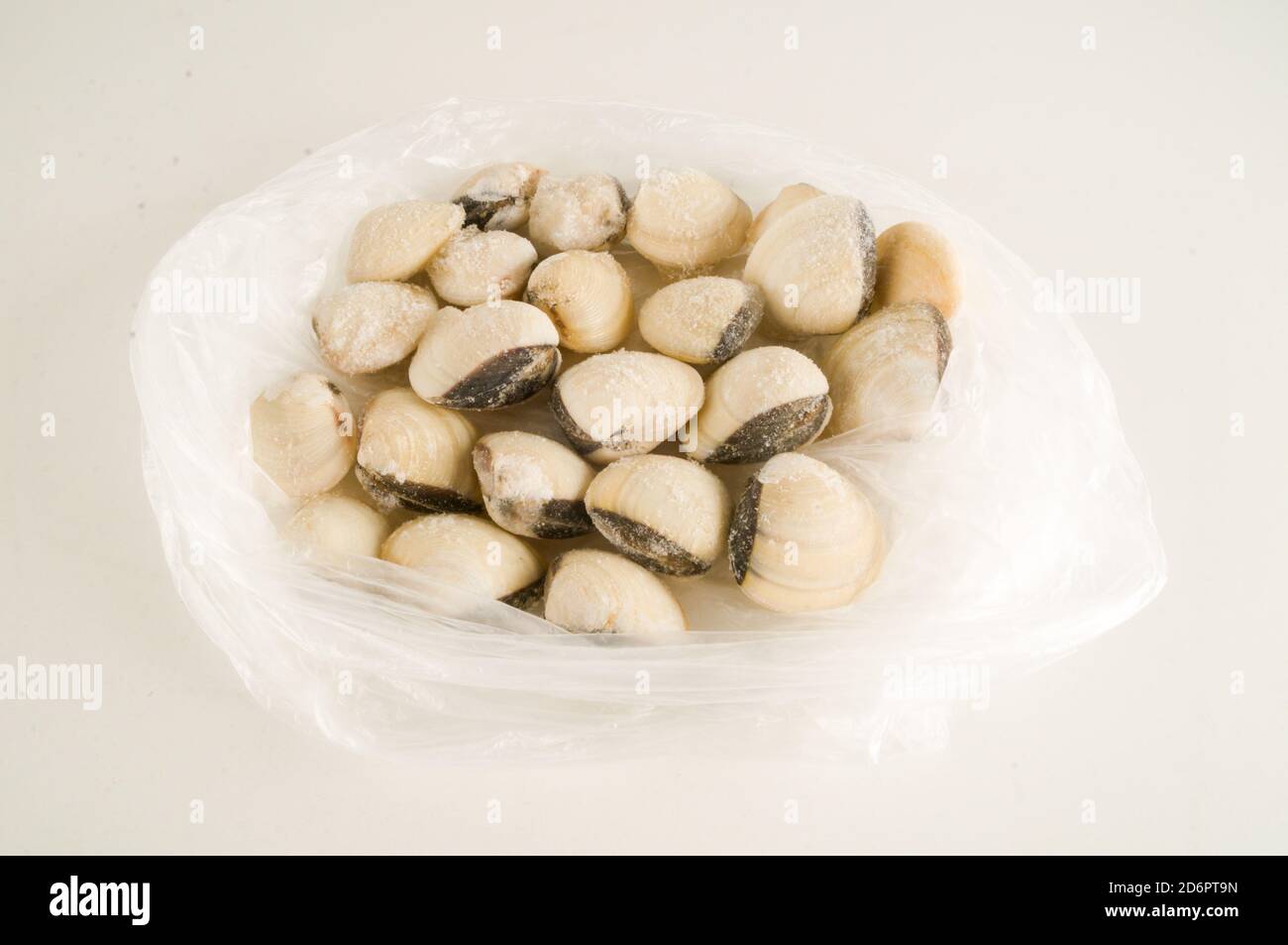 Collection of various clam shells Stock Photo - Alamy