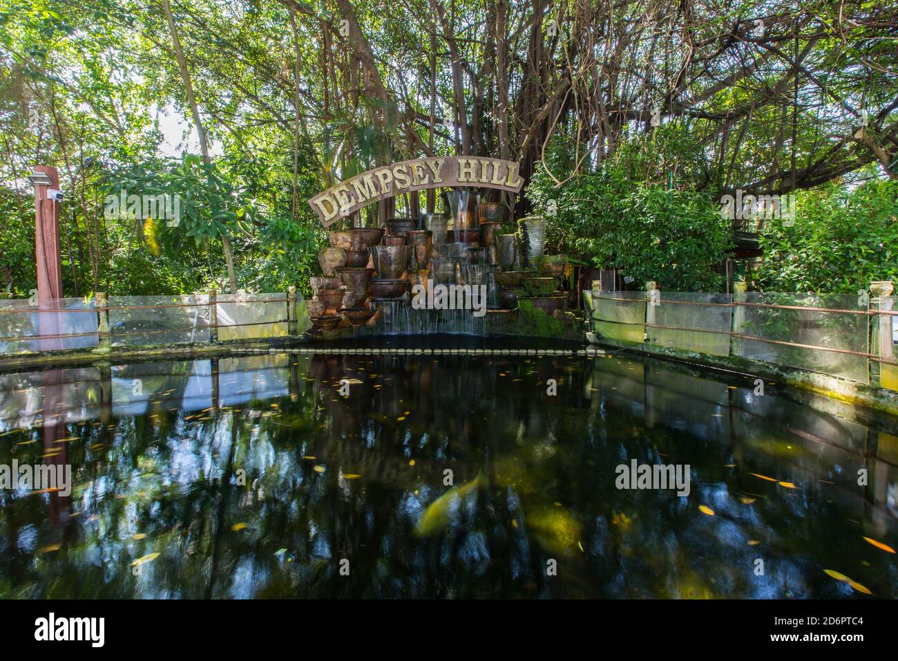 A fish pond open for public viewing the big fishes. Dempsey Hill ...