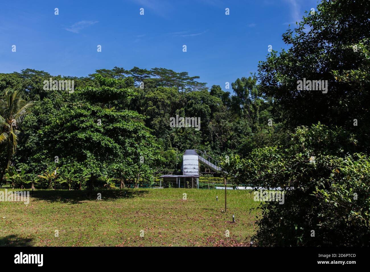 A landscaping area consists of a bridge surrounded in a greenery space ...