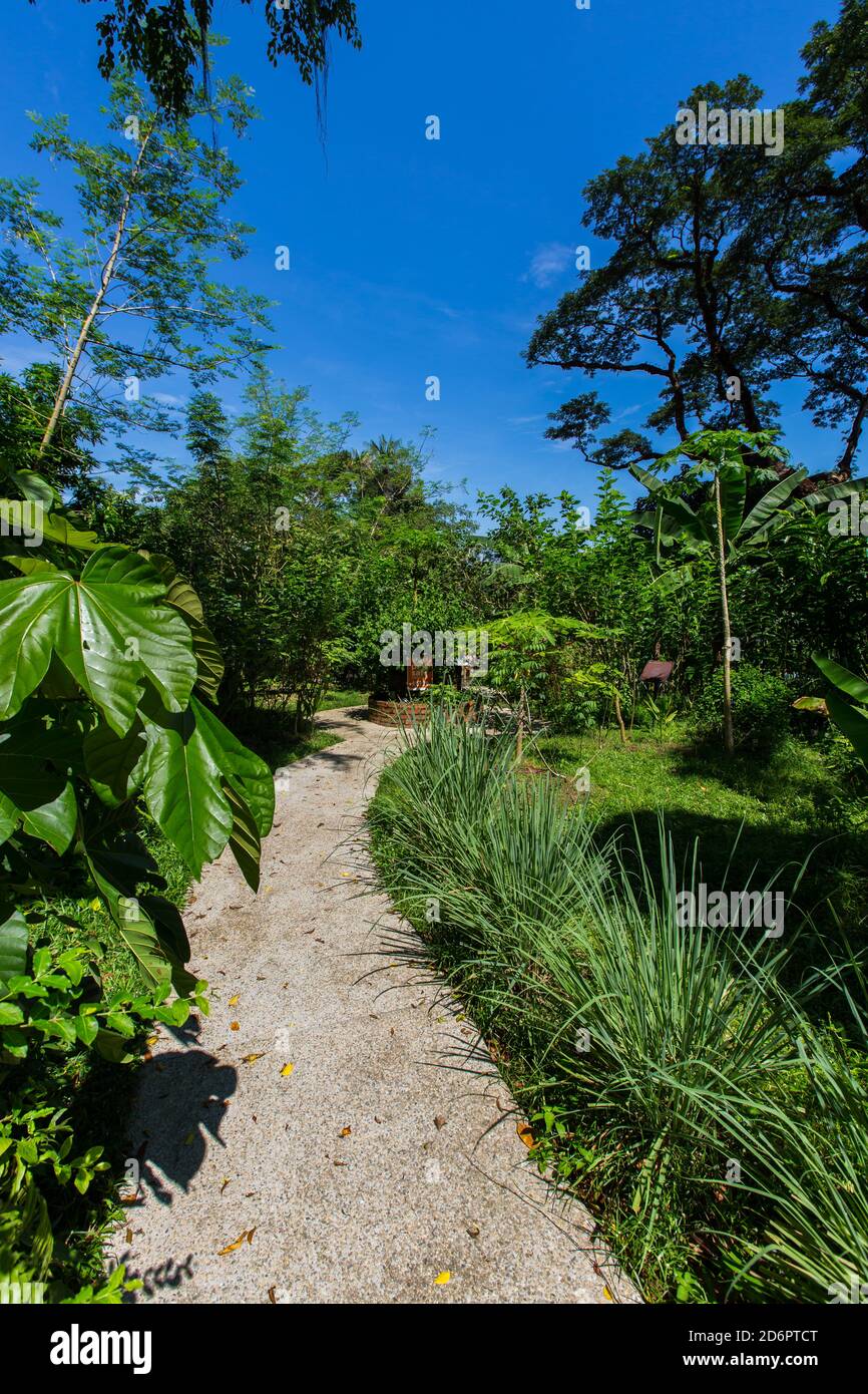 Community gardening singapore hi-res stock photography and images - Alamy