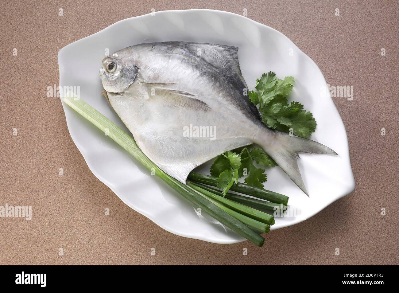 Butterfish hi-res stock photography and images - Alamy
