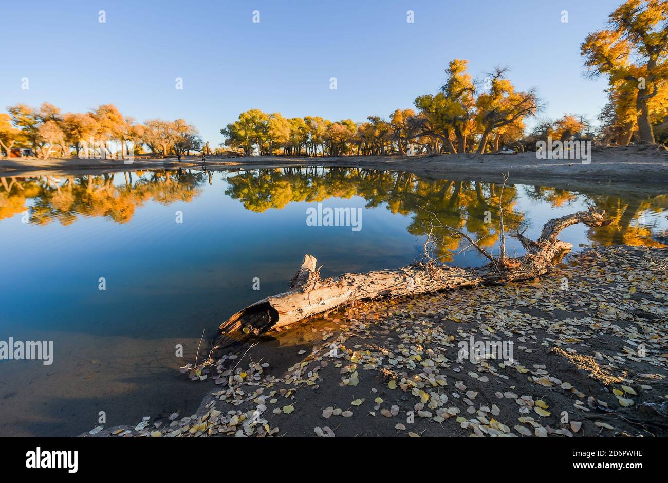 Ejin banner hi-res stock photography and images - Alamy