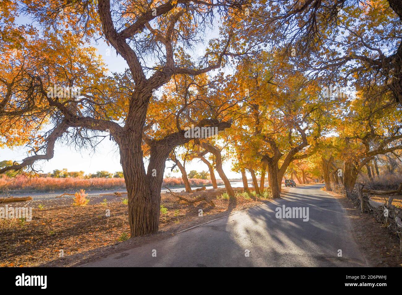 Ejin Banner High Resolution Stock Photography and Images - Alamy