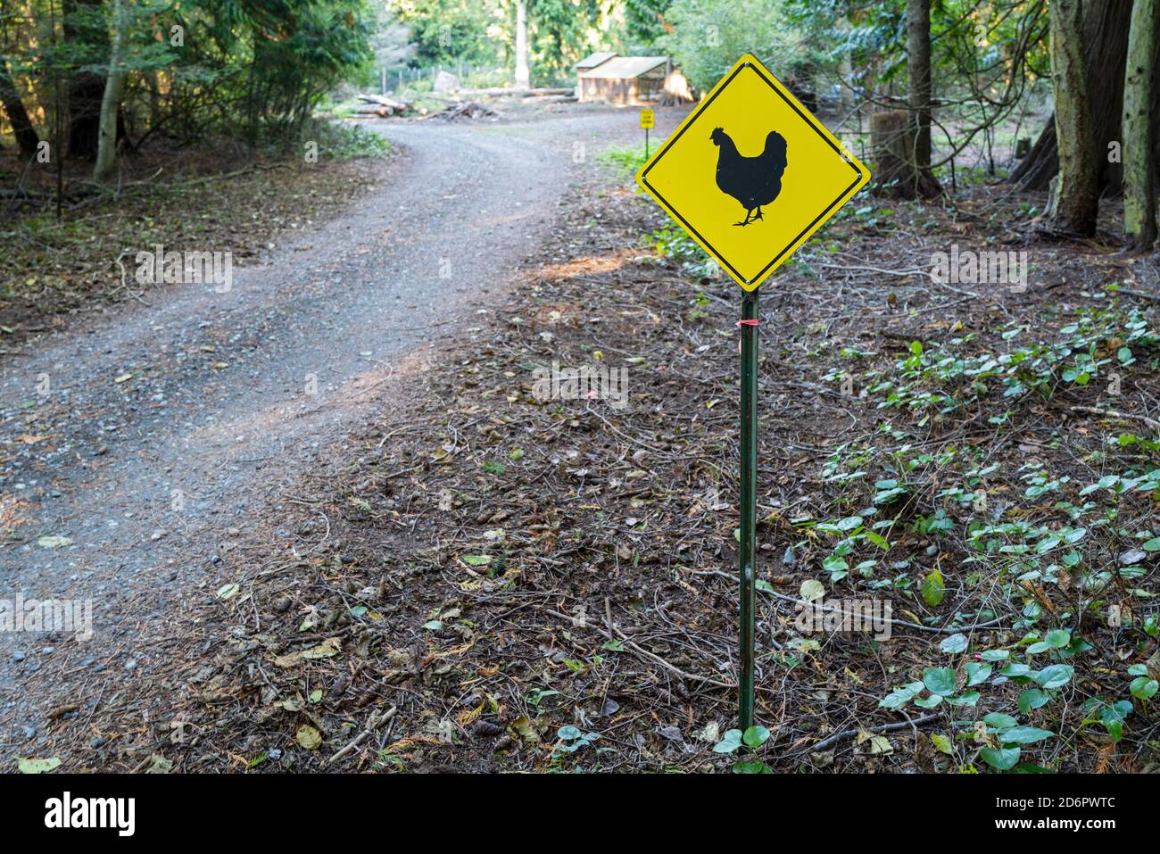 A sign warning of chicken crossing Stock Photo - Alamy