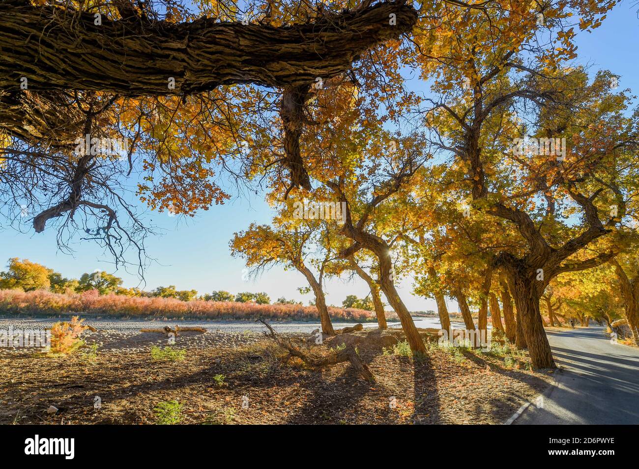 Ejin banner hi-res stock photography and images - Alamy