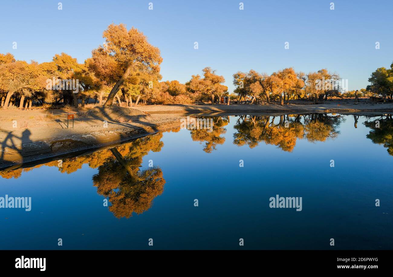 Ejin Banner. 18th Oct, 2020. Photo taken on Oct. 18, 2020 shows the ...