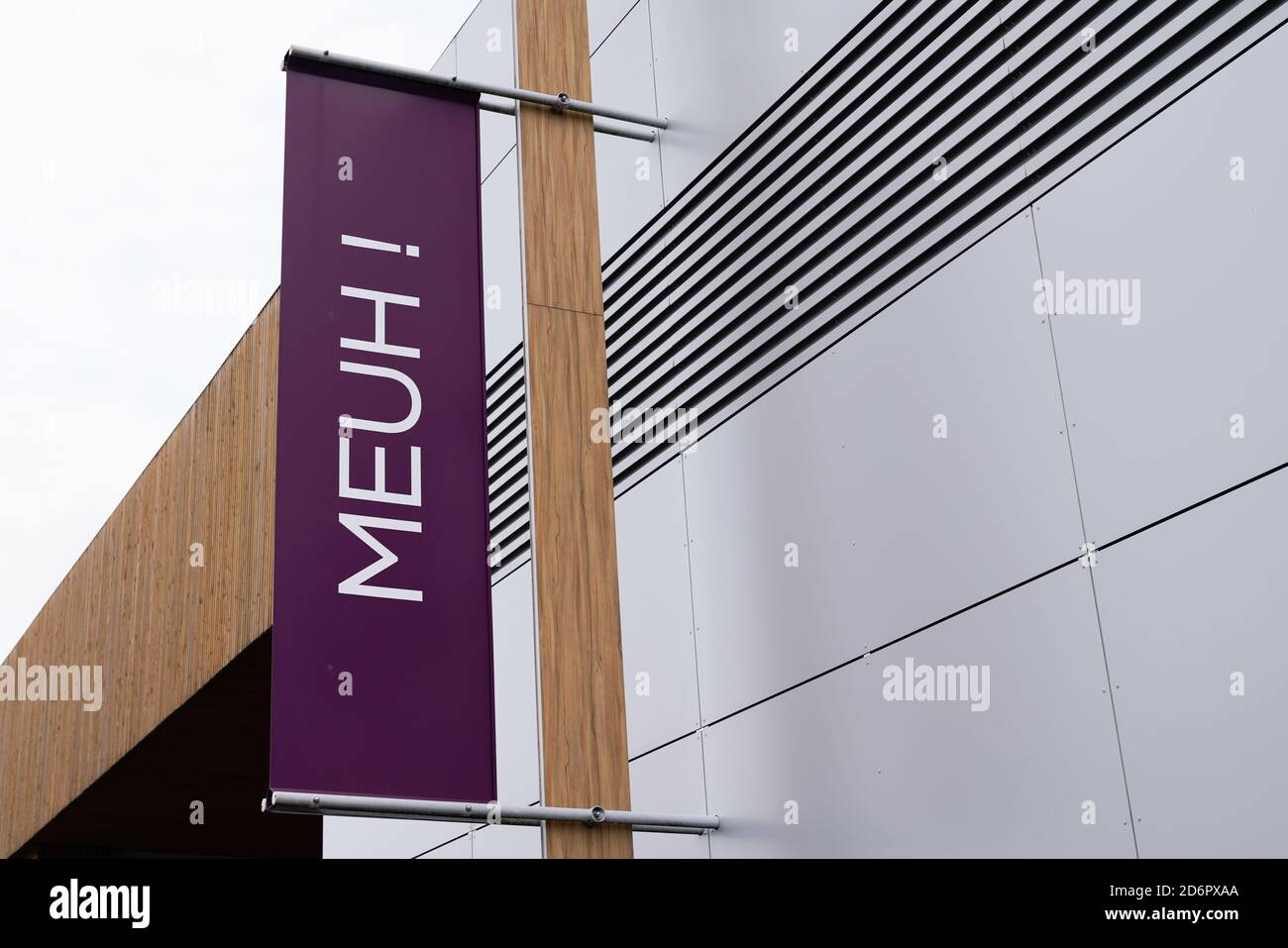 Moo logo hi-res stock photography and images - Alamy