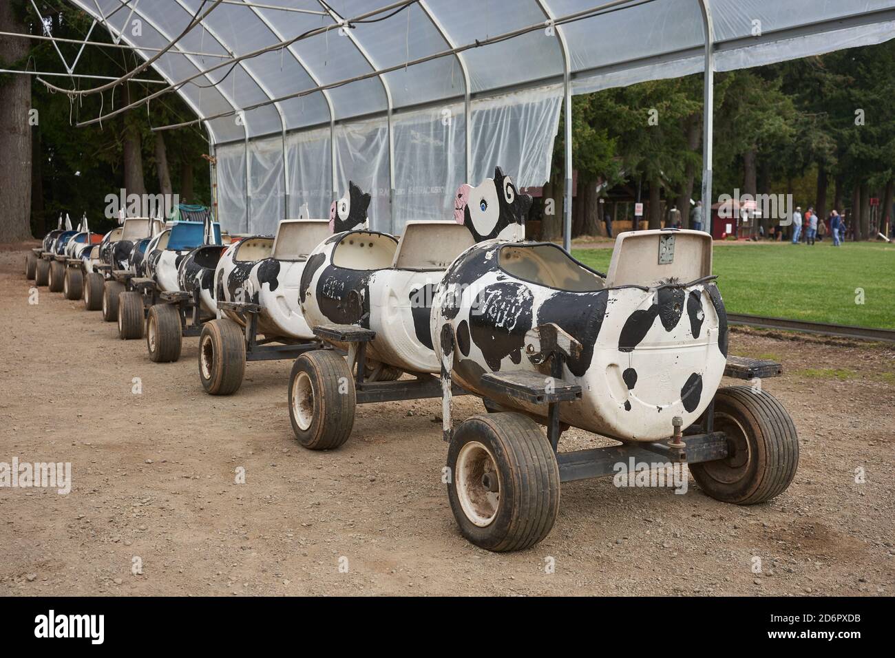 Empty cow train at the harvest festival in Fir Point Farms in Oregon ...