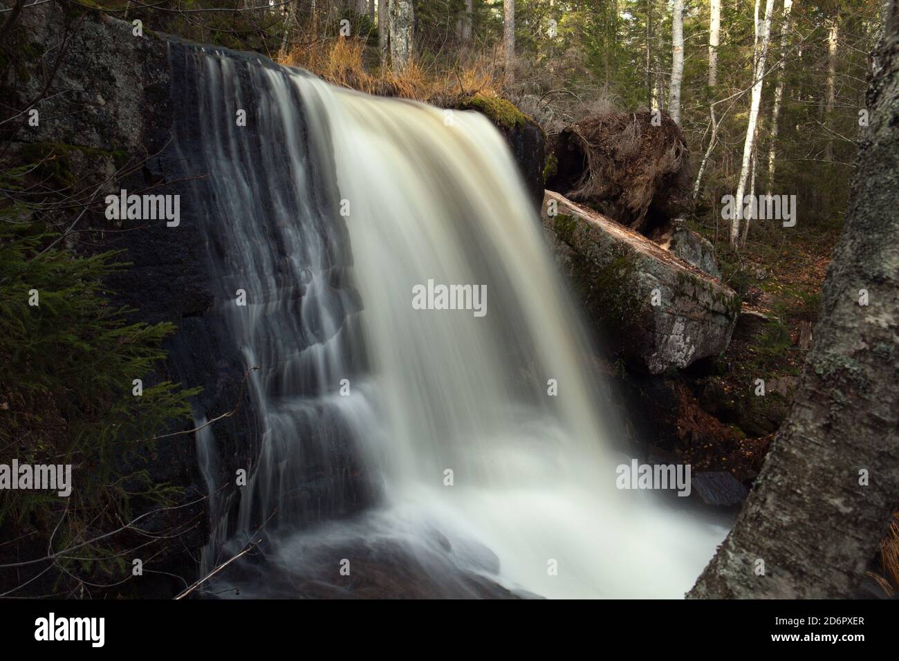 Close up view of a creek, brook during the fall, autumn. Water in ...