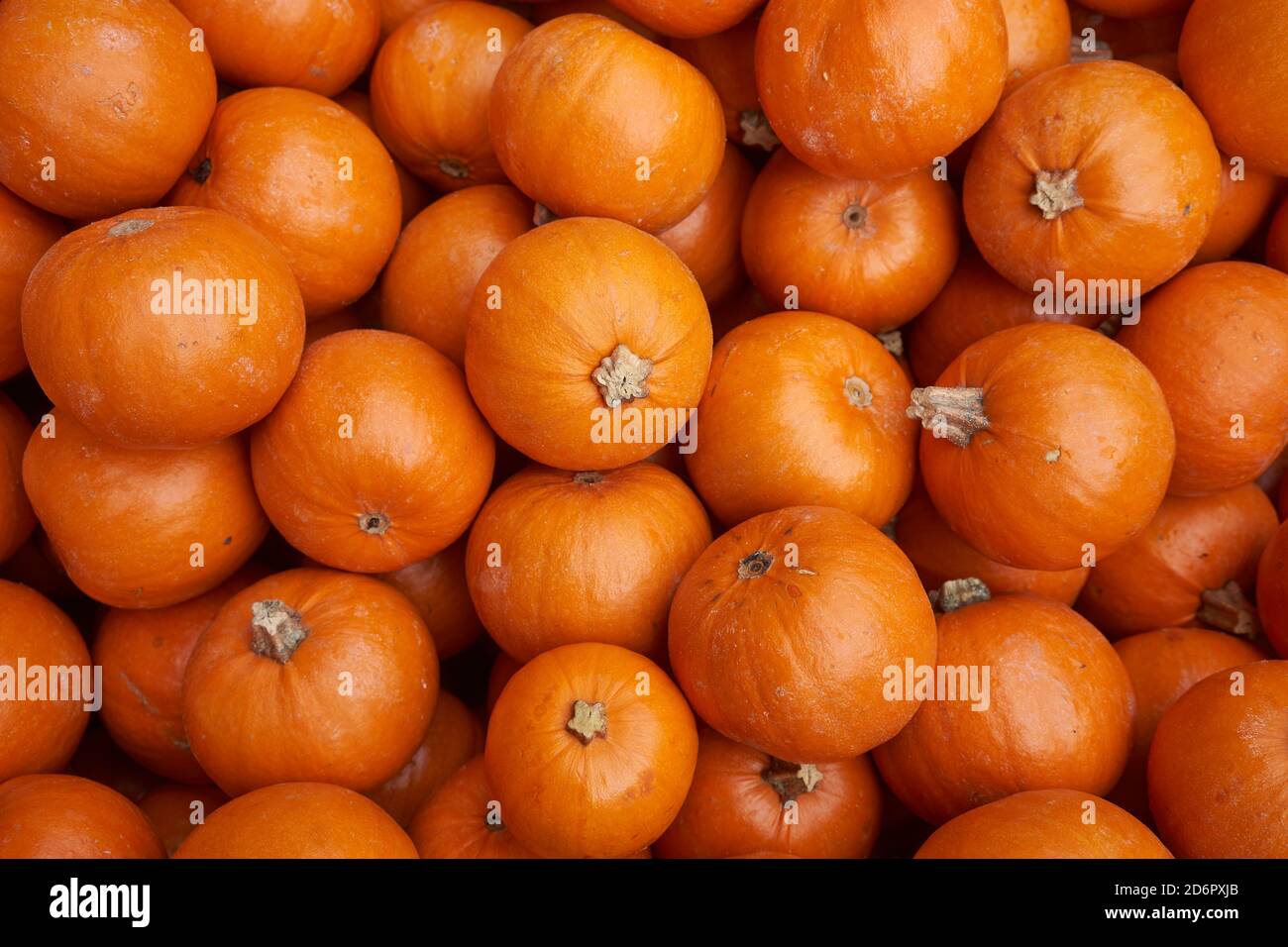 Many stack pile display hi-res stock photography and images - Alamy