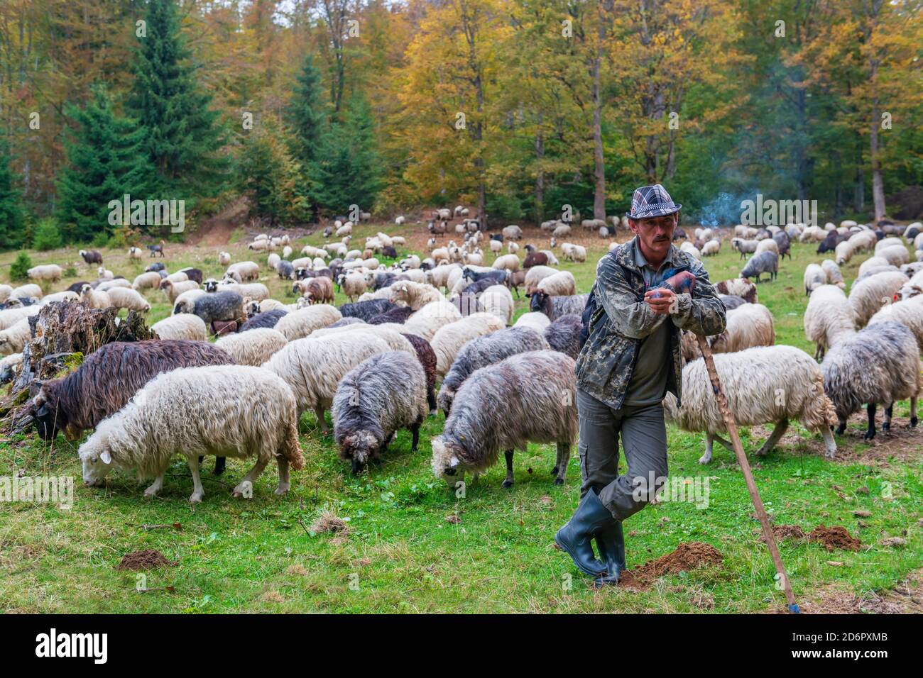 Farming activity hi-res stock photography and images - Alamy