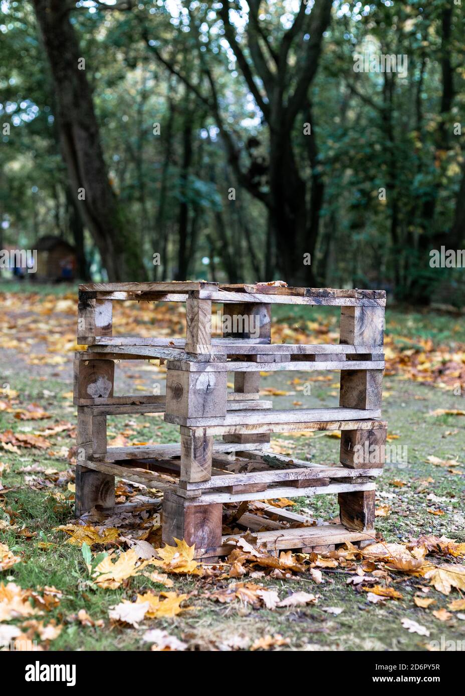 Wooden pallets stacked in autumn forest Stock Photo - Alamy